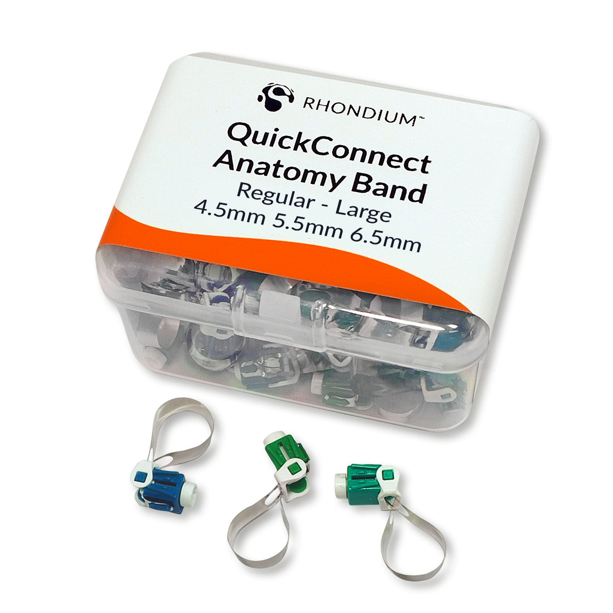 QuickConnect Anatomy Band